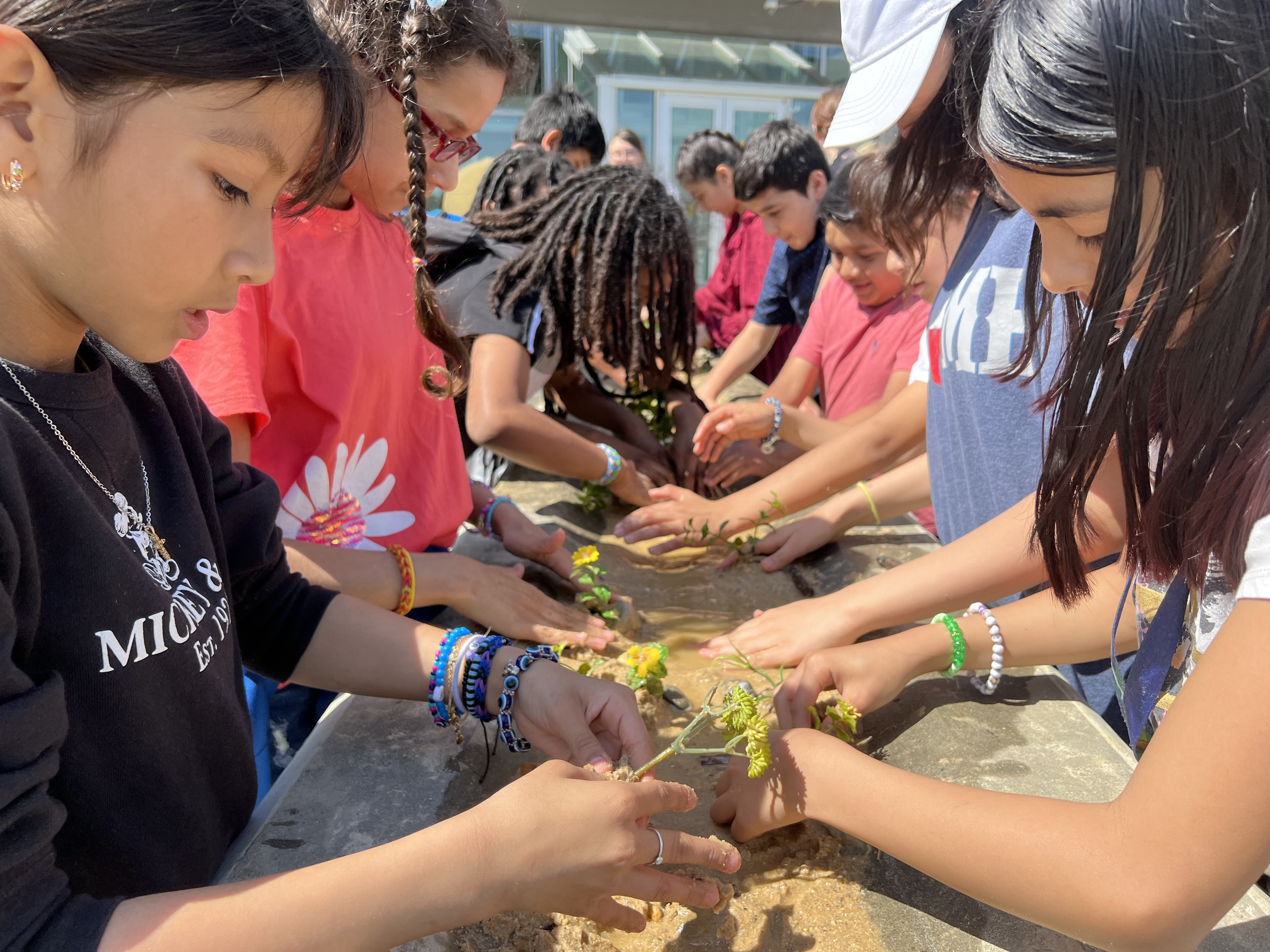 Steering the Titanic: Developing an Environmental Literacy Plan in Prince William County Public ...