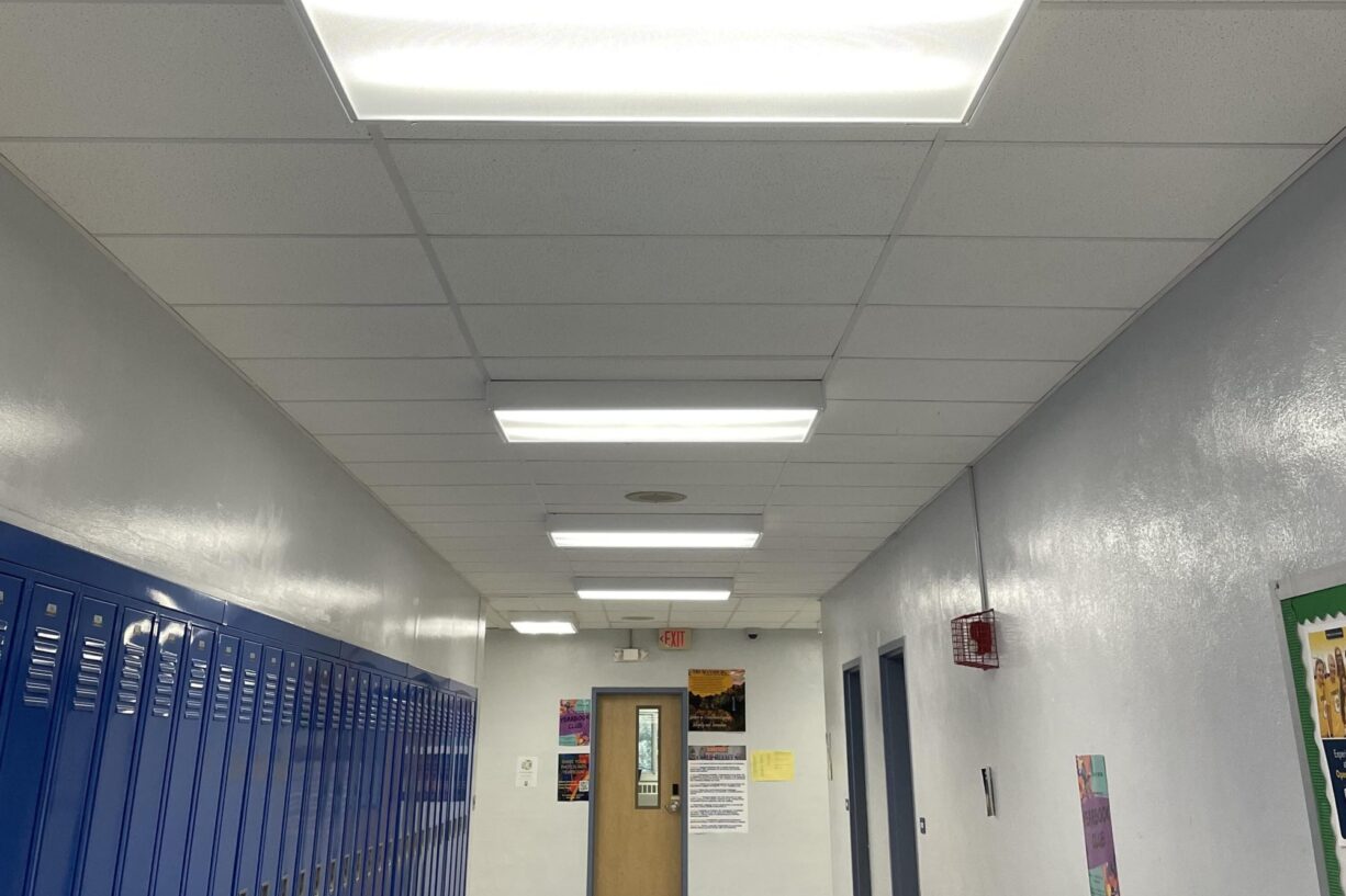 Safe and Efficient Lighting - Bay Backpack