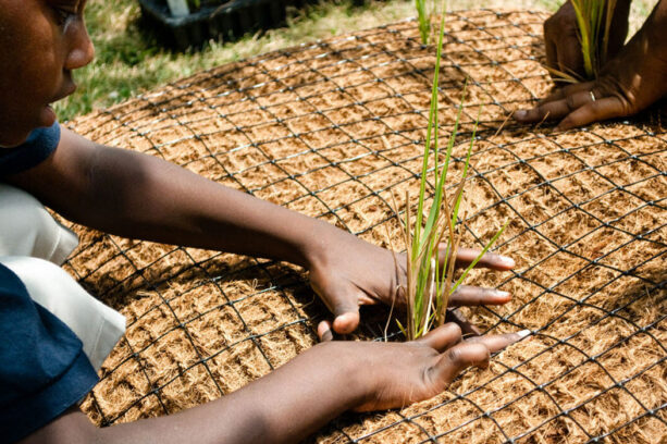 What is a MWEE? - Bay Backpack