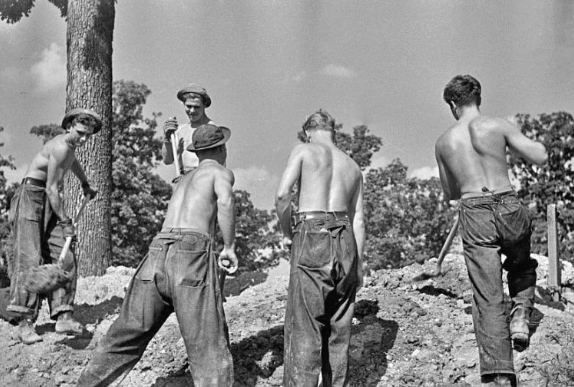 Roosevelt’s Reforestation Army - Bay Backpack